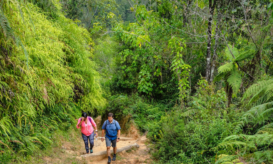 Wandern auf den Pico Duarte in der Dominikanischen Republik